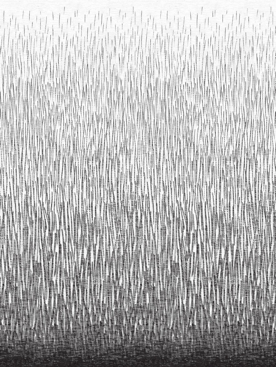 Amaya Black Wall Mural – Wallpaper Your World